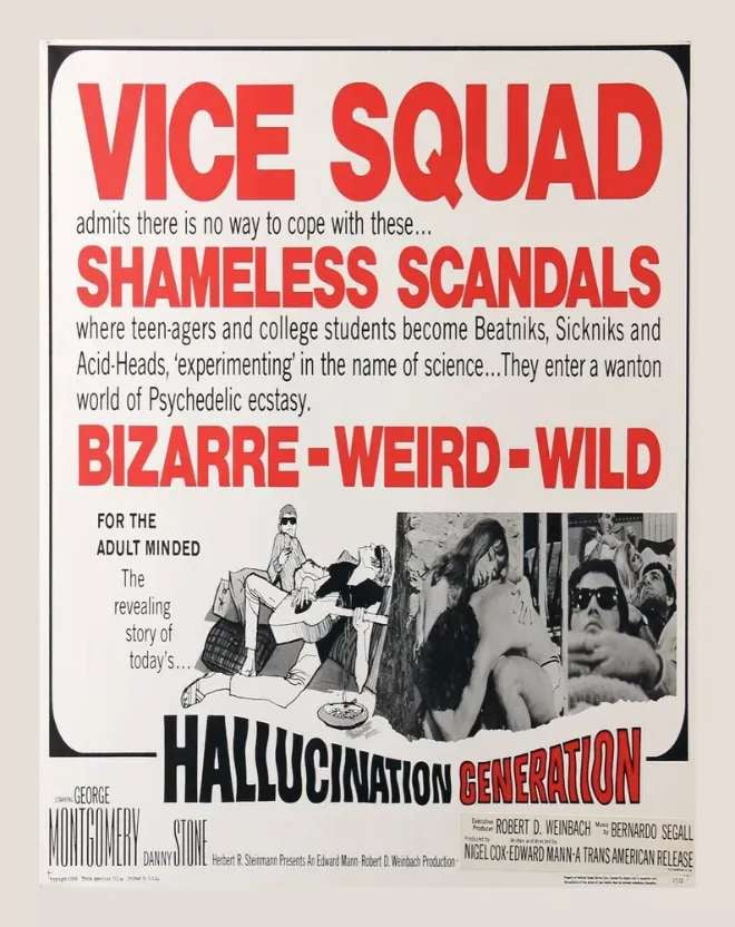 .Decor Poster..Vintage Interior wall design.Pulp movie Vice Squad ...