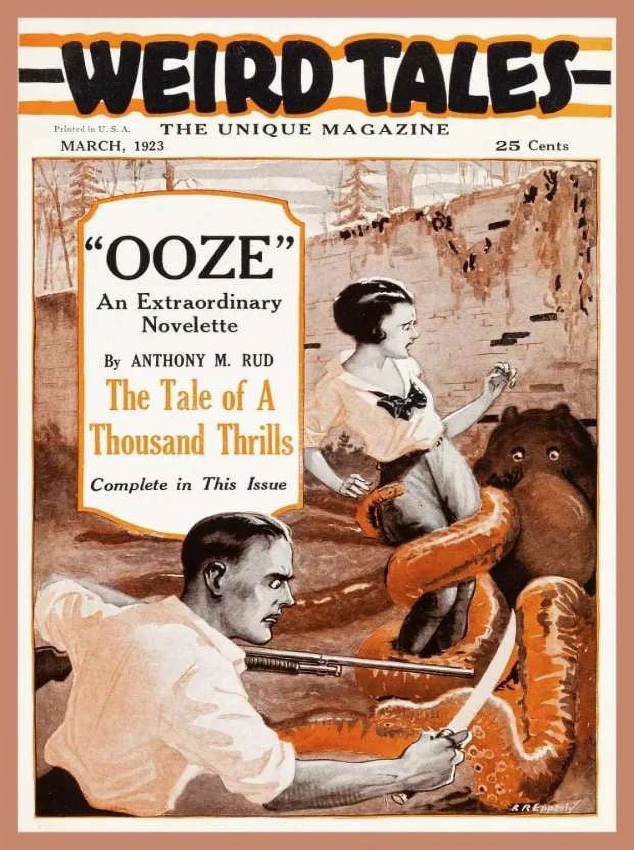 .Decor Poster.Vintage Interior wall design.Weir tales pulp cover Ooze ...