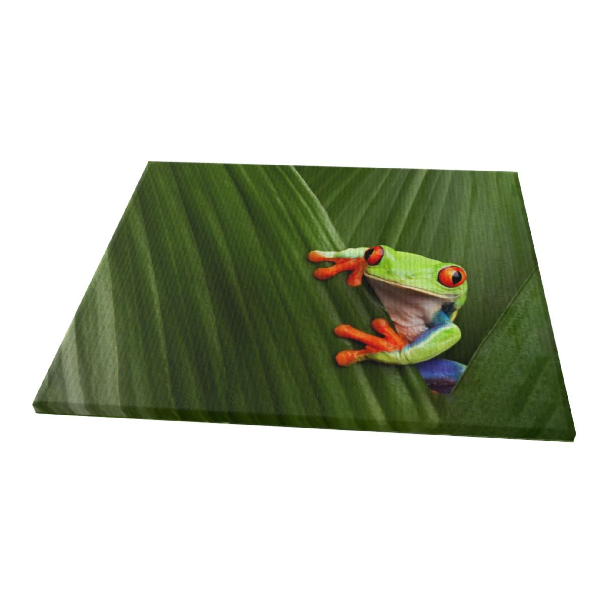 Decor Red-Eyed Tree Frog Wall Decor Bathroom Canvas Painting Modern Decorations Framed Artwork ...