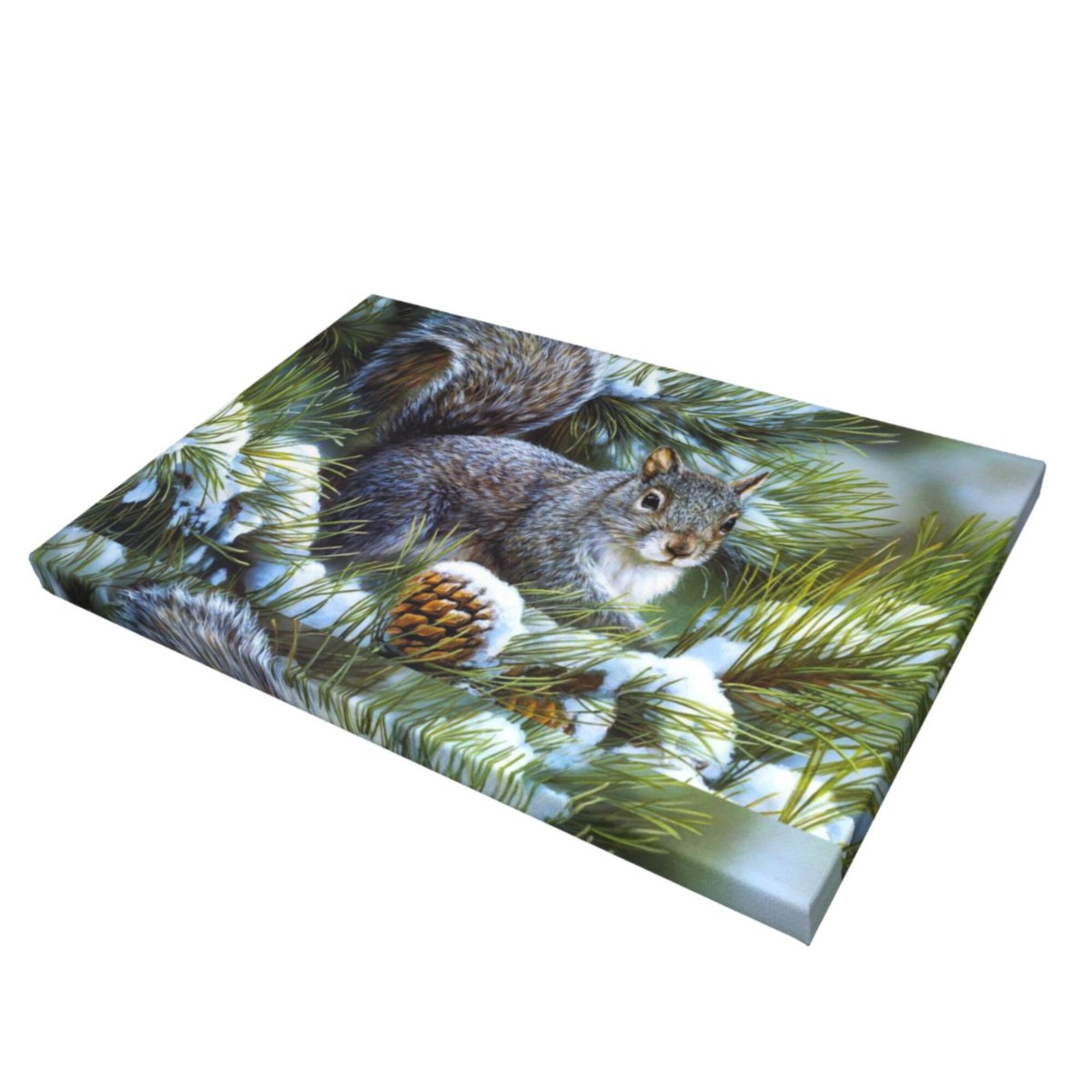 Decor Squirrel-In-A-Pine- Wall Decor Bathroom Canvas Painting Modern ...