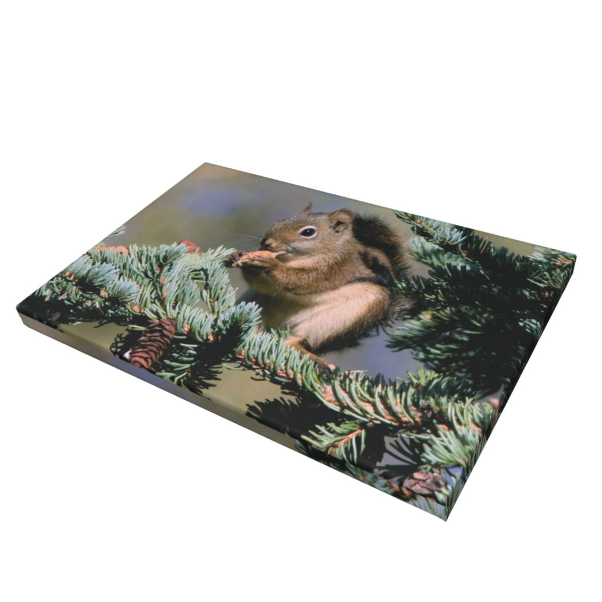 Decor Squirrel Wall Decor Bathroom Canvas Painting Modern Decorations ...