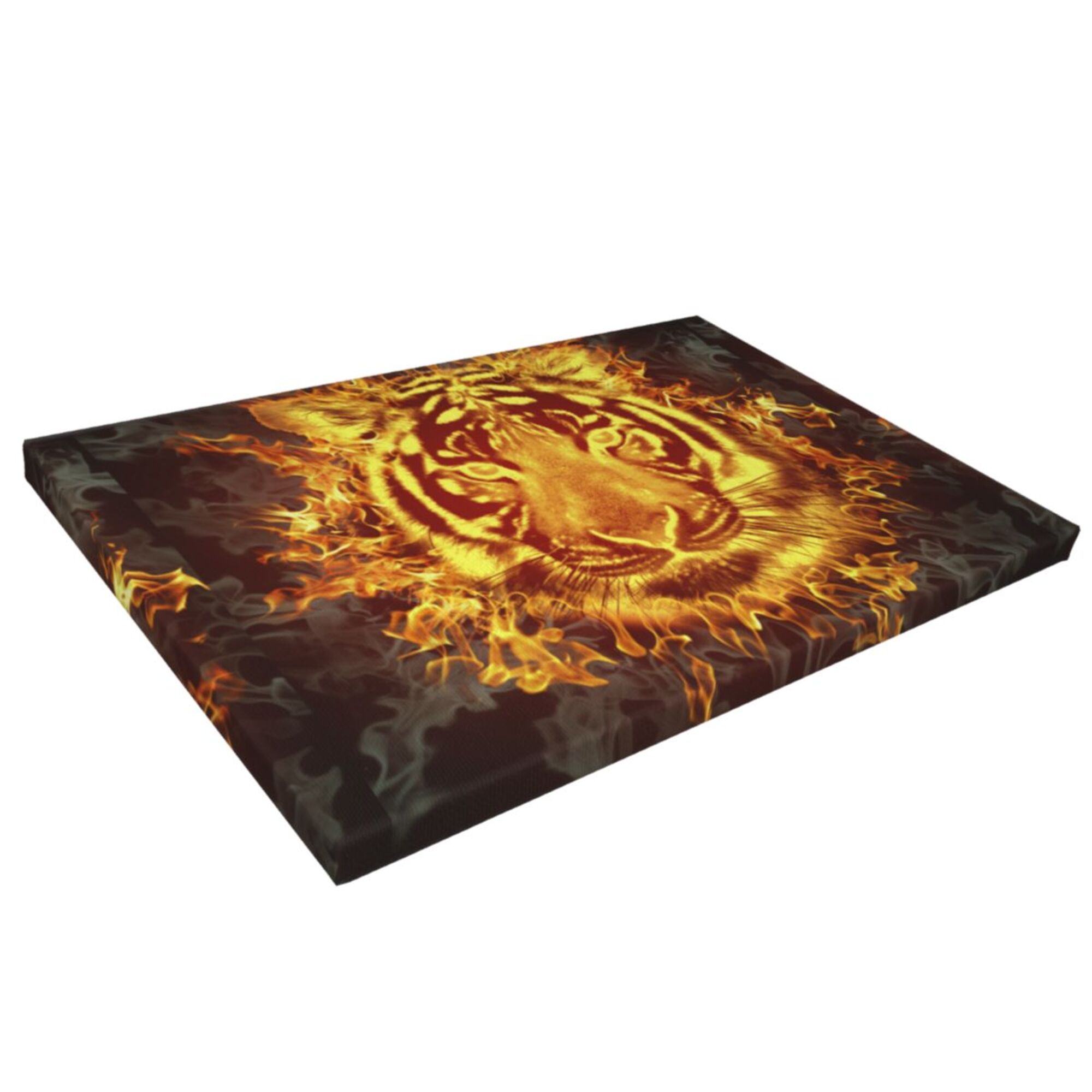 Decor Tiger Flame Fire Wall Decor Bathroom Canvas Painting Modern ...