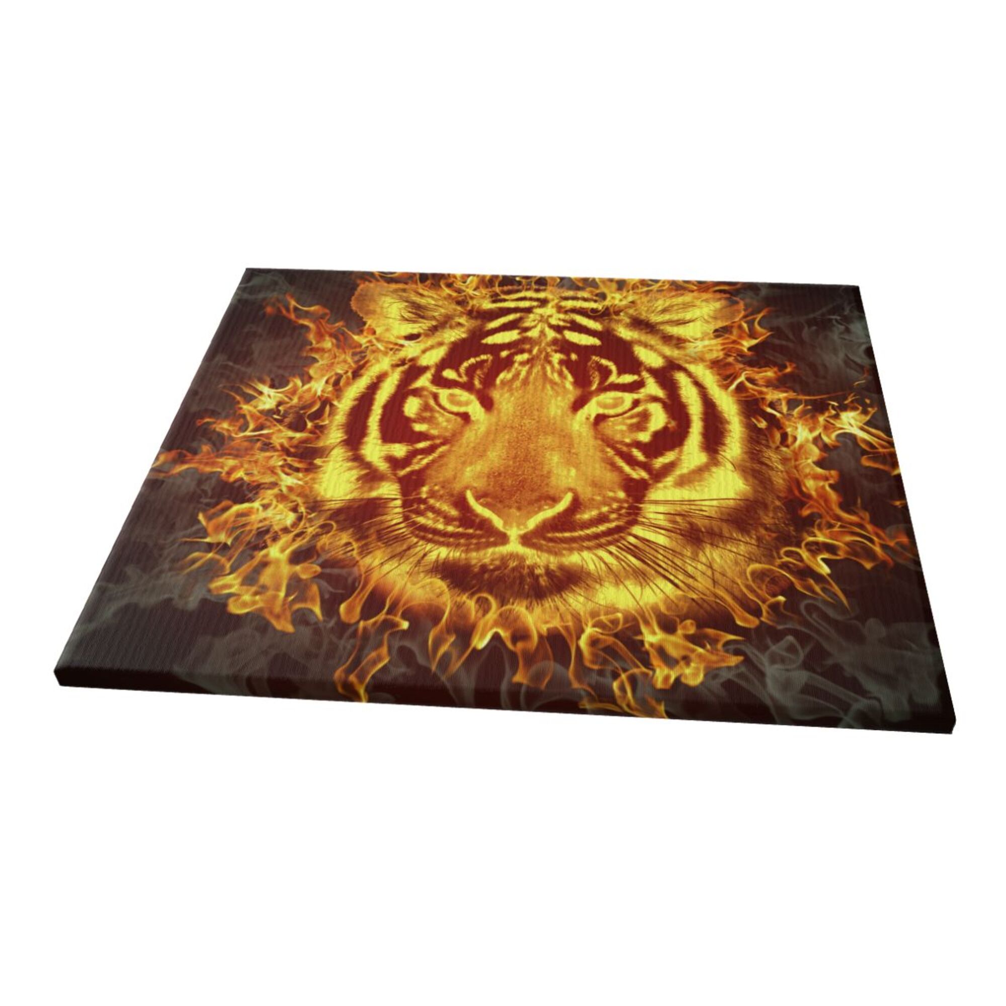 Decor Tiger Flame Fire Wall Decor Bathroom Canvas Painting Modern ...