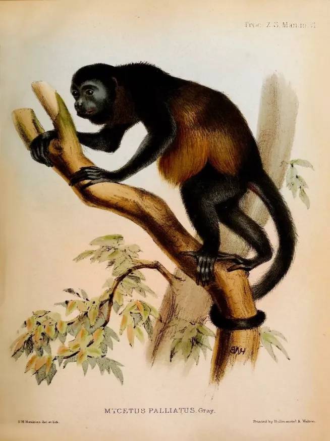 .Decoration Poster.Home Room kitchen wall.Art print design.Howler ...