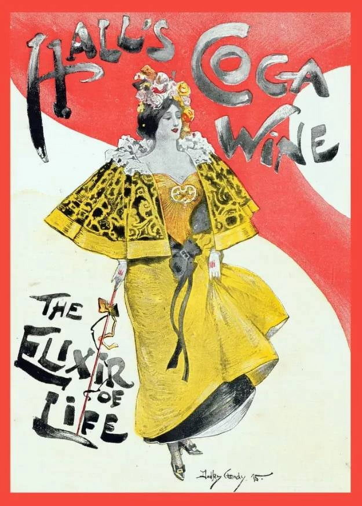 .Decoration Poster.Home Room wall art design.Coca wine Elixir of life ...