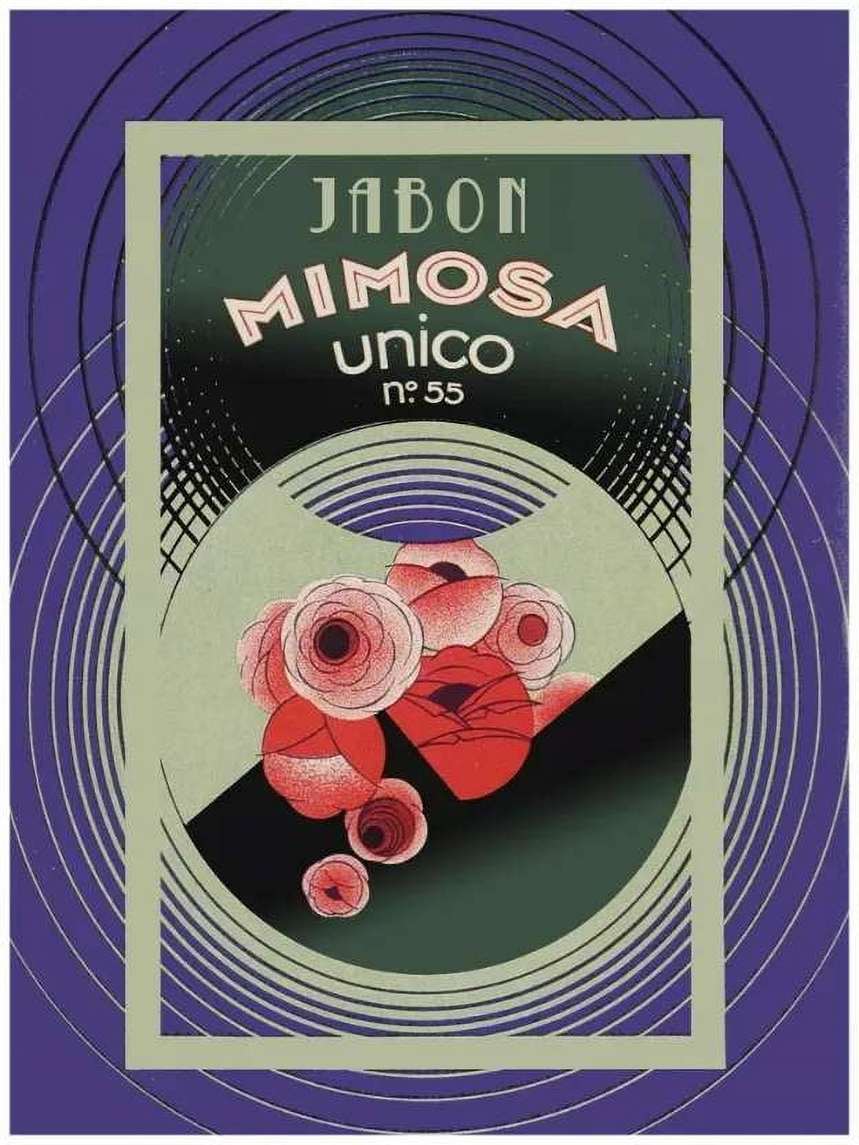 .Decoration Poster.Home Room wall art design.Mimosa Soap.Bathroom decor ...