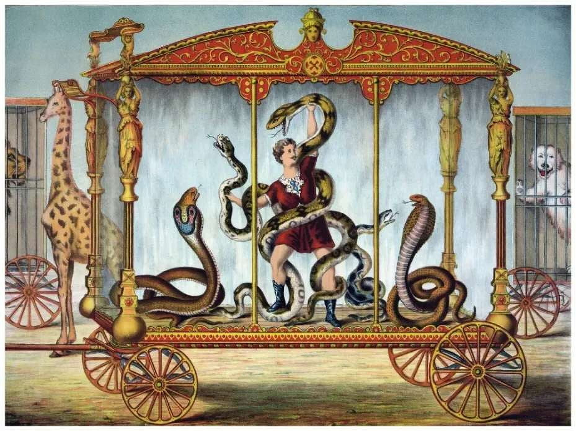 .Decoration Poster.Home Room wall art interior design.Snake charmer ...