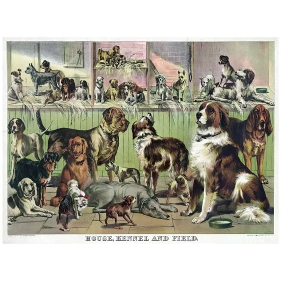 .Decoration Poster.Home Room wall design art print.Kennel.Dogs breeds ...