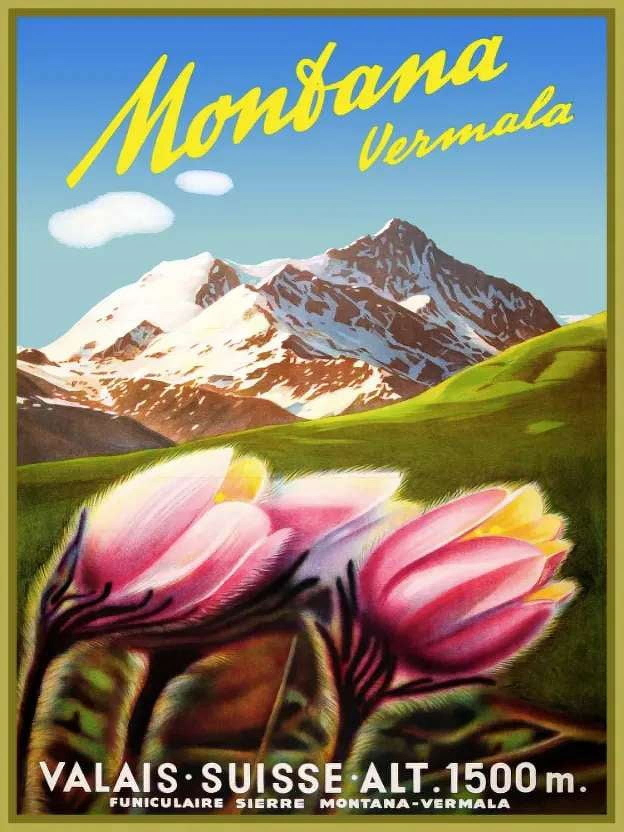 Decoration Poster.Home room art.Interior design.Montana Vermala.Rose ...