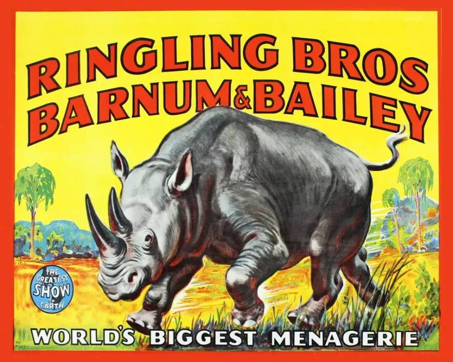 Decoration Poster.Home room art.Interior design.Rhino ringling circus ...