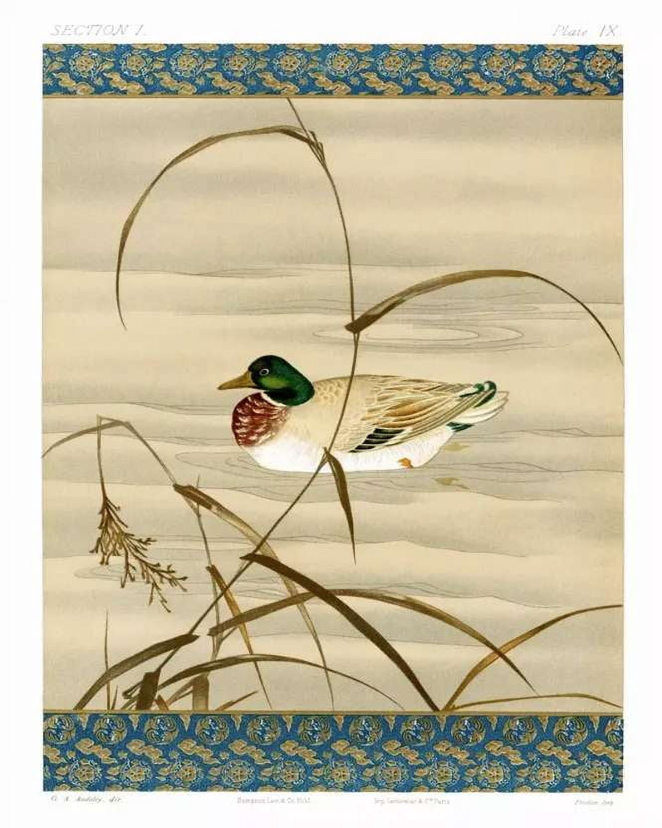 .Decoration Poster.Room wall.Home interior art design.Japanese wild ...