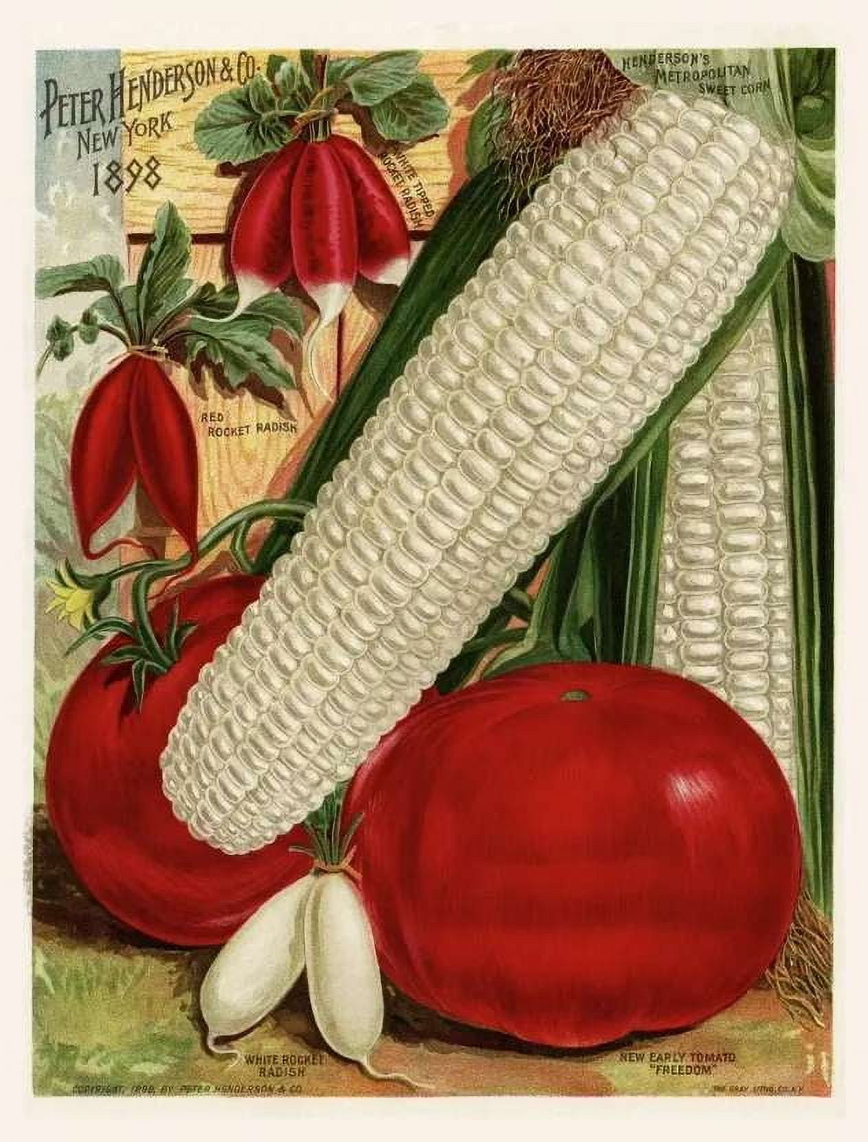 .Decoration Poster.Vintage Interior bathroom wall.Corn farm.Gardening ...