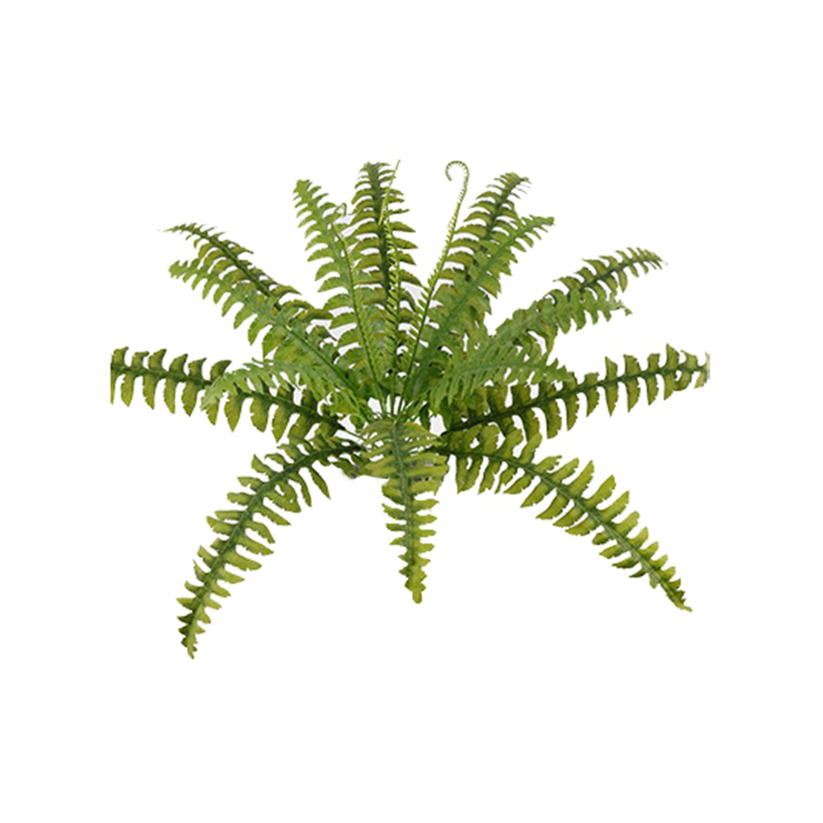 Decorative Artificial Persian Grass for Home & Garden Lifelike ...