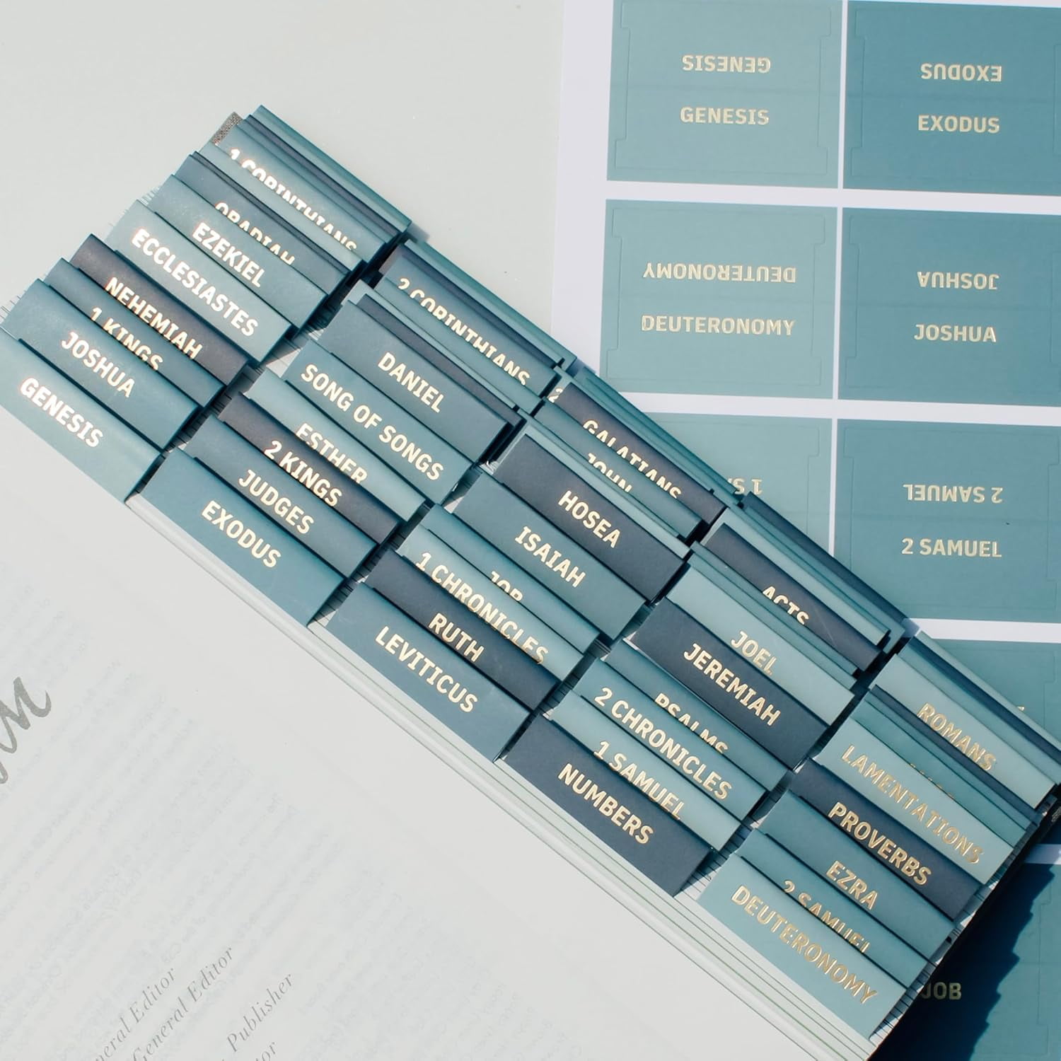 Decorative Bible Tabs for Women (96 Pieces) - Earth Tone Neutral Gold ...