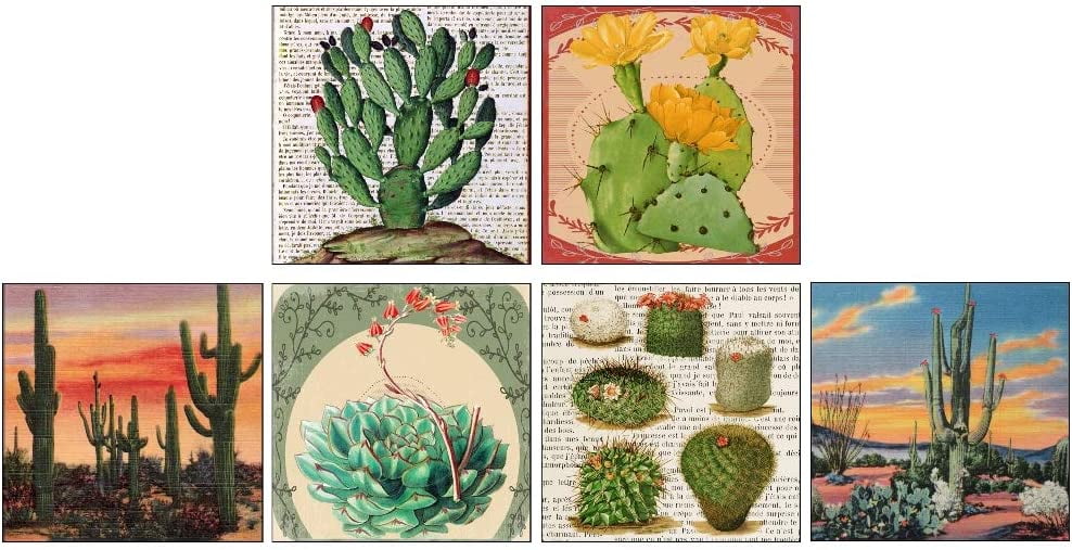 Decorative Cactus Desert Succulents Set of 6 Square Box Candle and ...