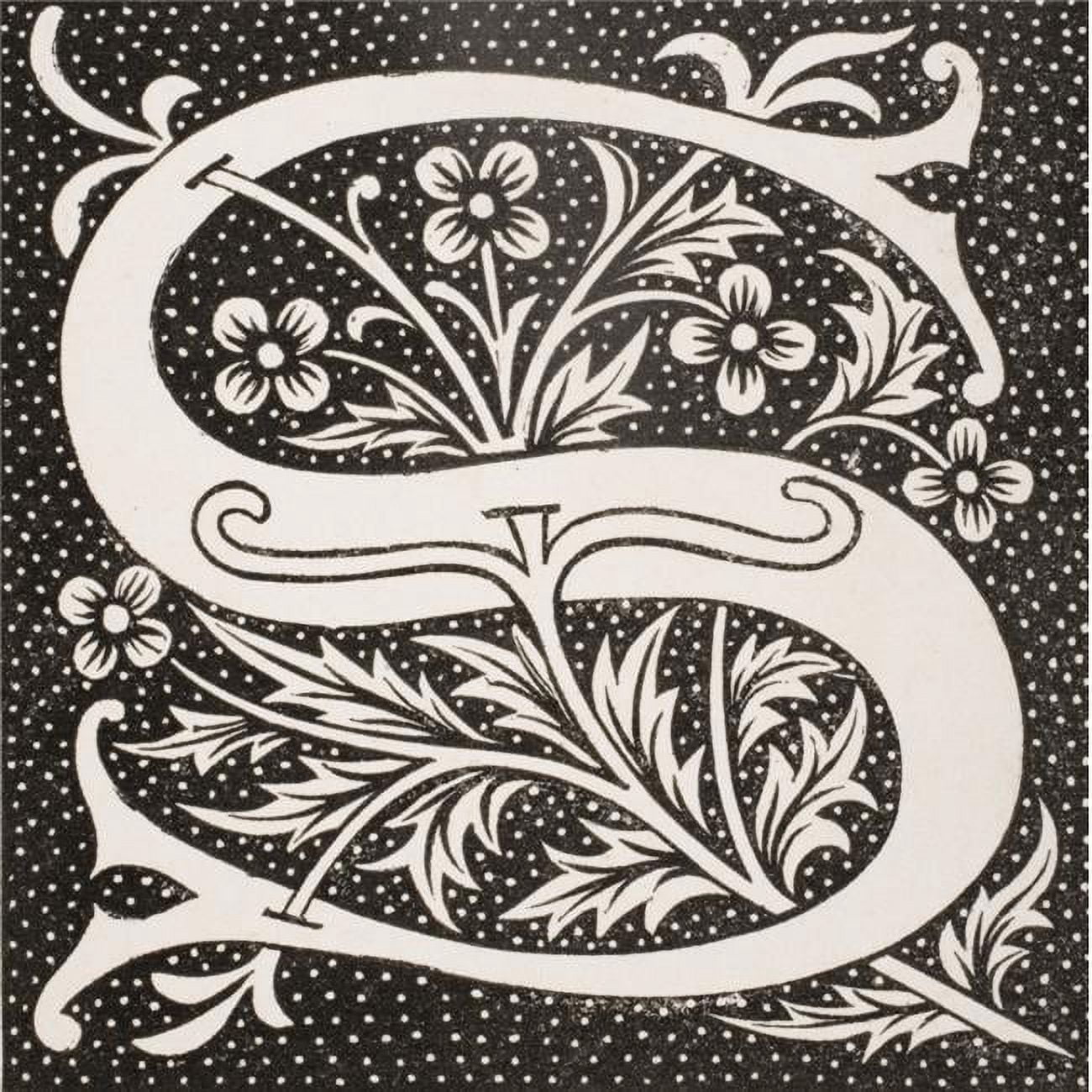 Decorative Capital Letter S Poster Print, Large - 28 x 30 - Walmart.com