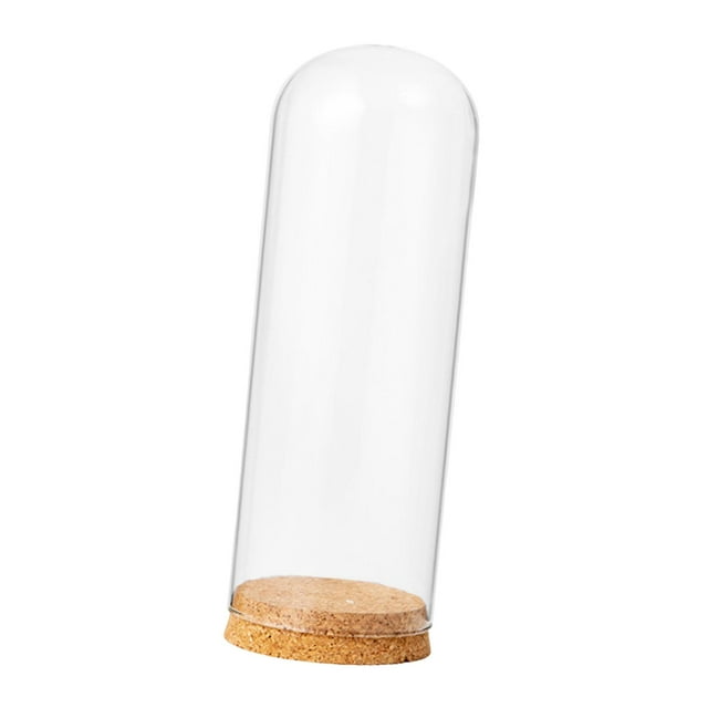 Decorative Clear Glass Dome, Glass Cloche Bell Jar , Cloche Jar with ...