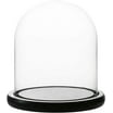 Decorative Glass Cloche Bell Jar Dome with Wooden Base Display Decor ...