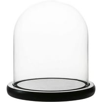 Decorative Glass Cloche Bell Jar Dome with Wooden Base Display Decor ...
