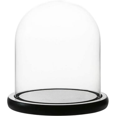Decorative Glass Cloche Bell Jar Dome with Wooden Base Display Decor ...