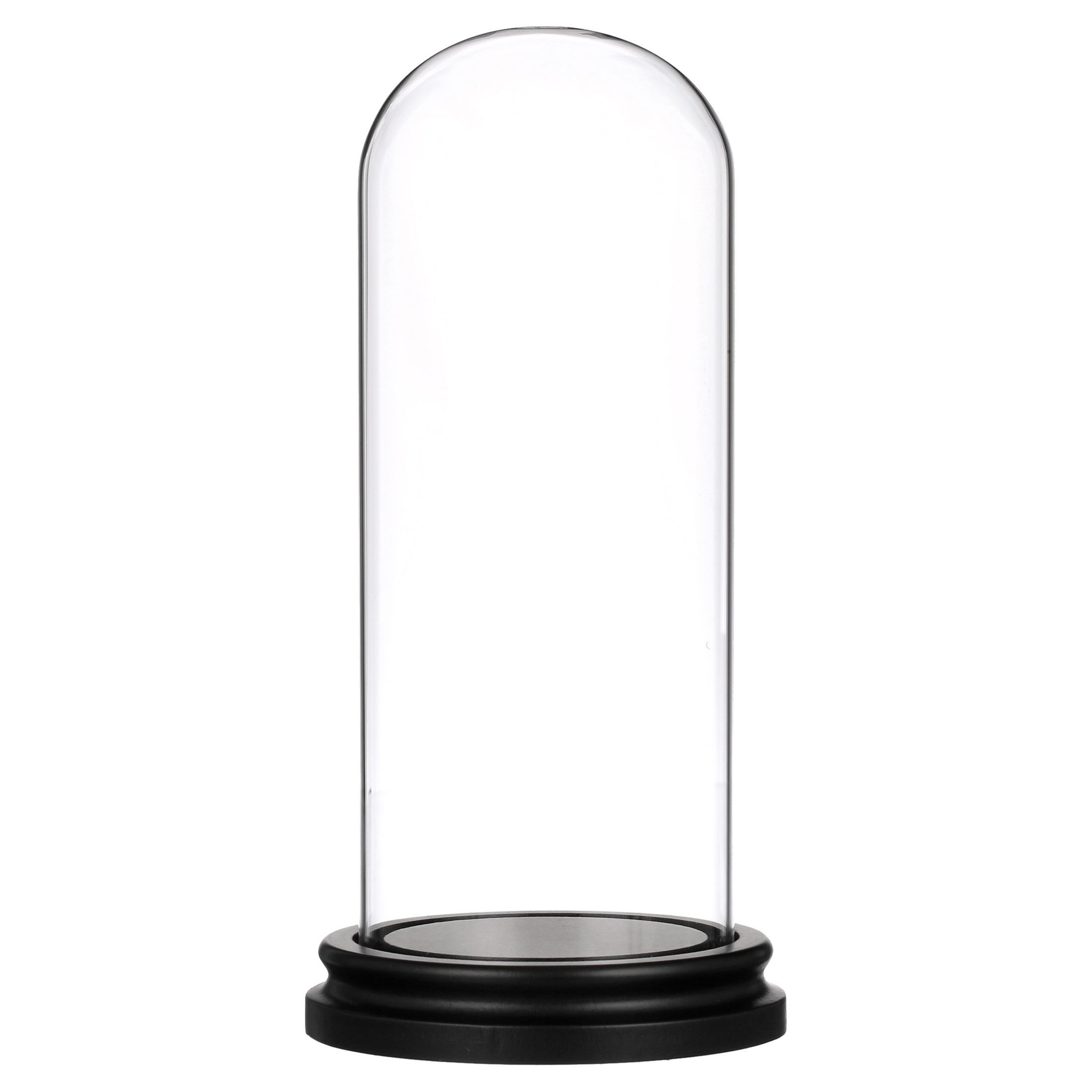 Plymor 3" x 4" Glass Display Dome Cloche (Oak Wood Base) - Walmart.com