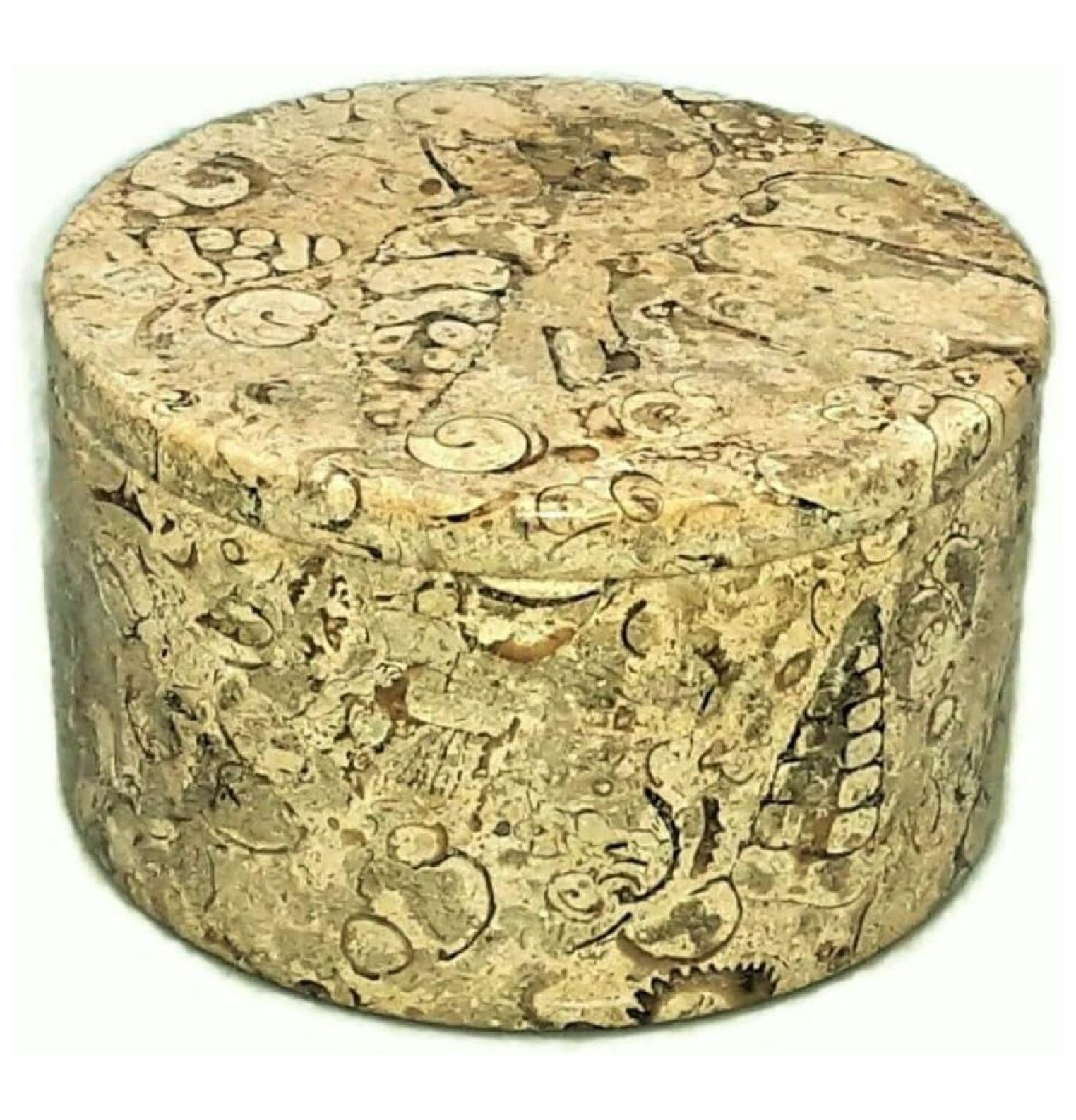 Decorative Coral Stone Box, Traditional Coral Gift for 35th Wedding ...