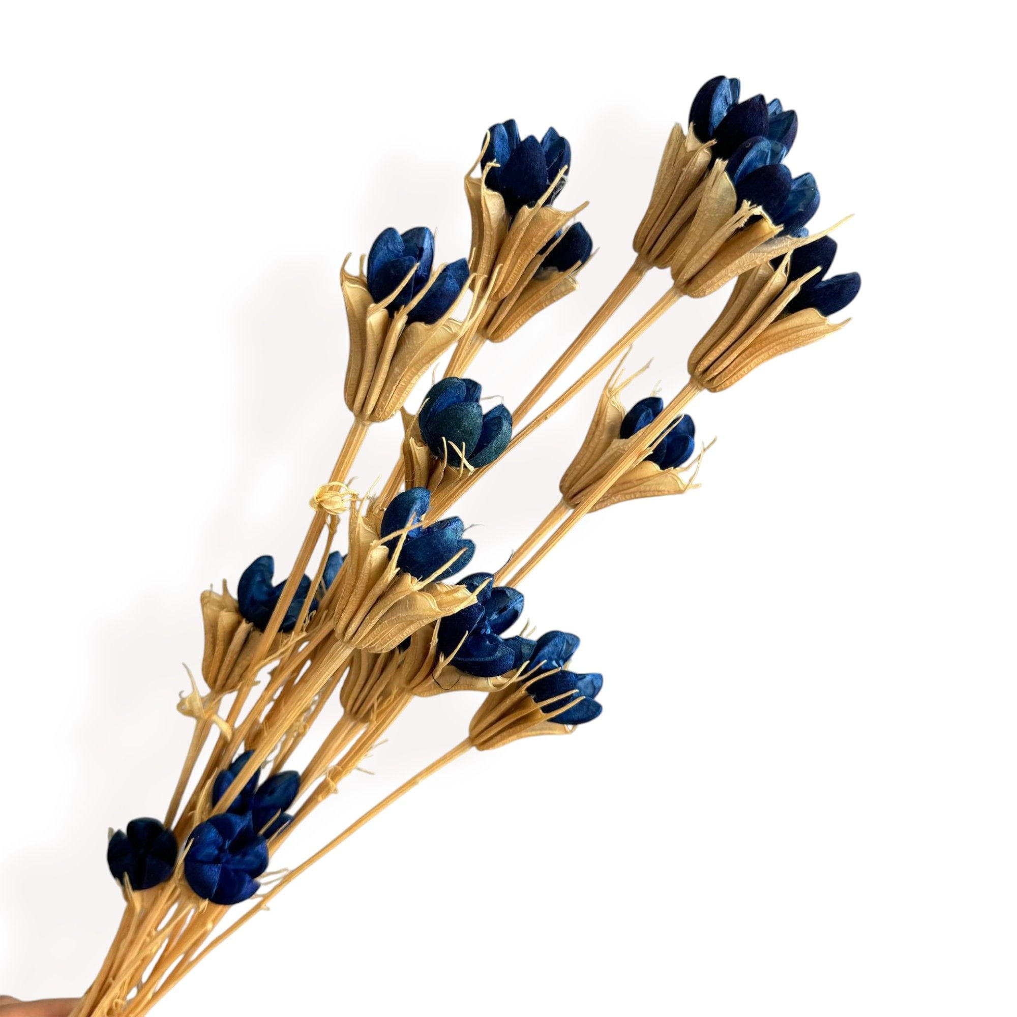 Decorative Dried Flower Stems for Home Decoration and Floral ...
