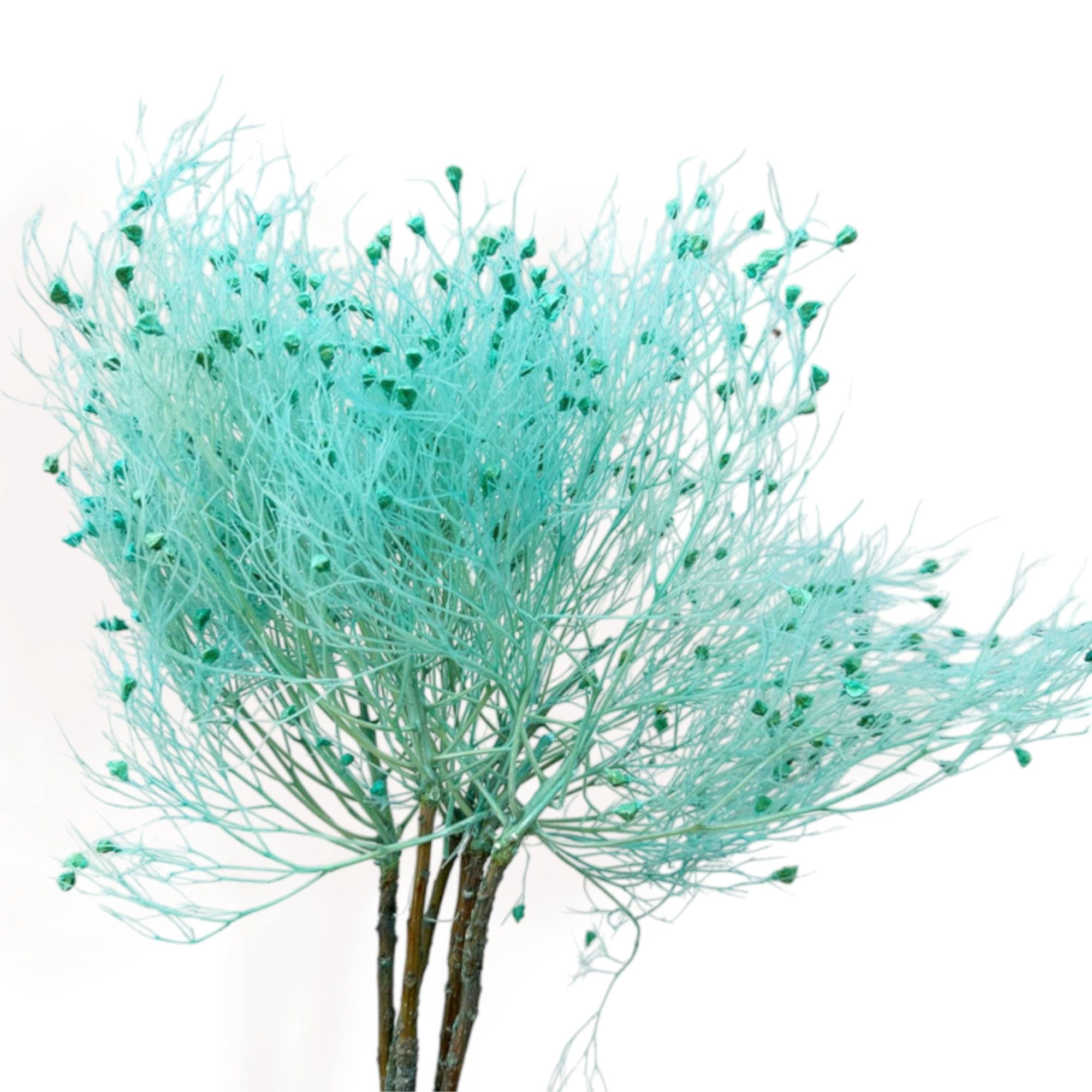 Decorative Dried Ming Fern Stems for Elegant Home Decoration and ...
