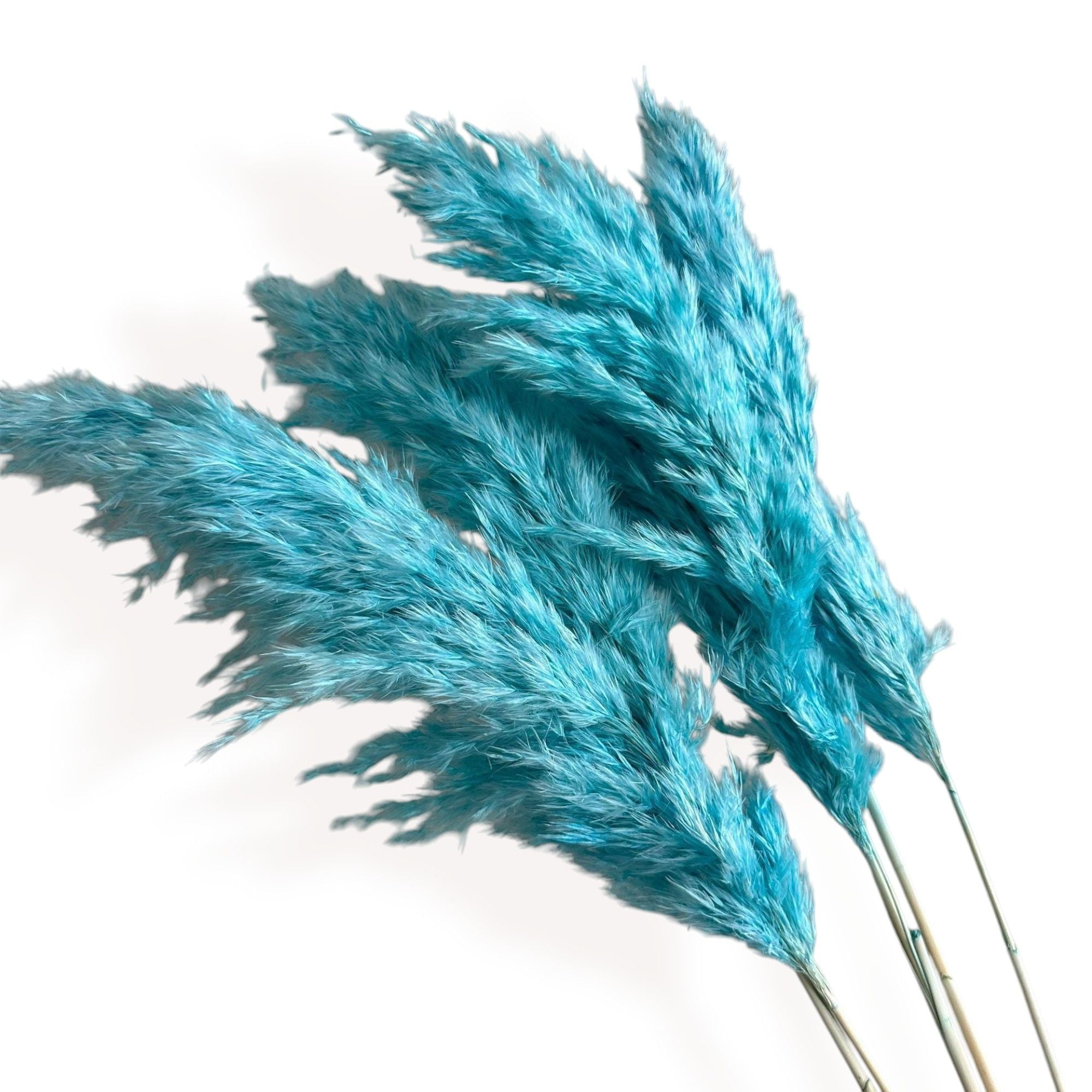 Decorative Dried Tall Grass Stems for Home Decoration and Floral ...