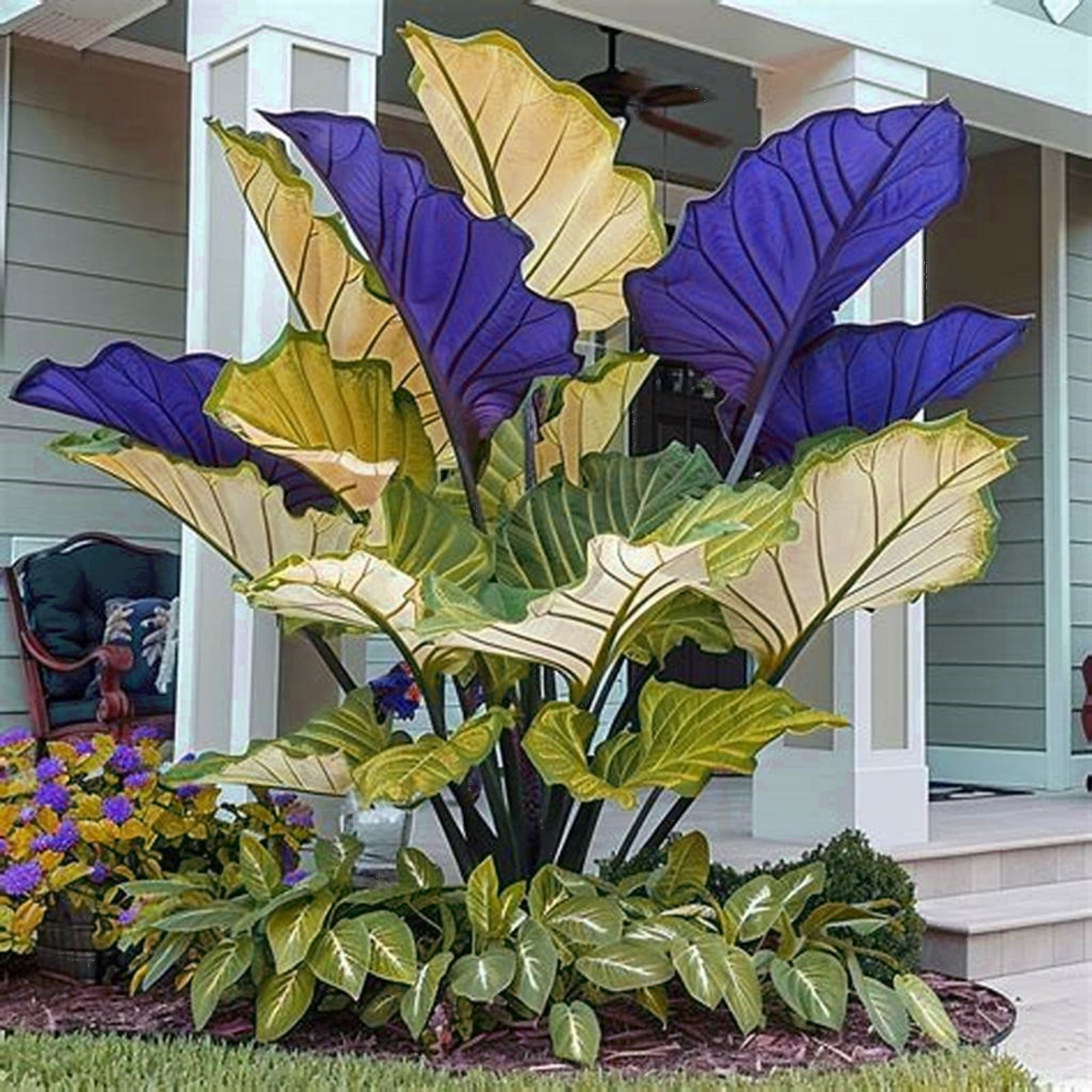 Decorative Elephant Ear Plant Stakes Professional Planting Perennial Garden Decor Ideal for Gift ...