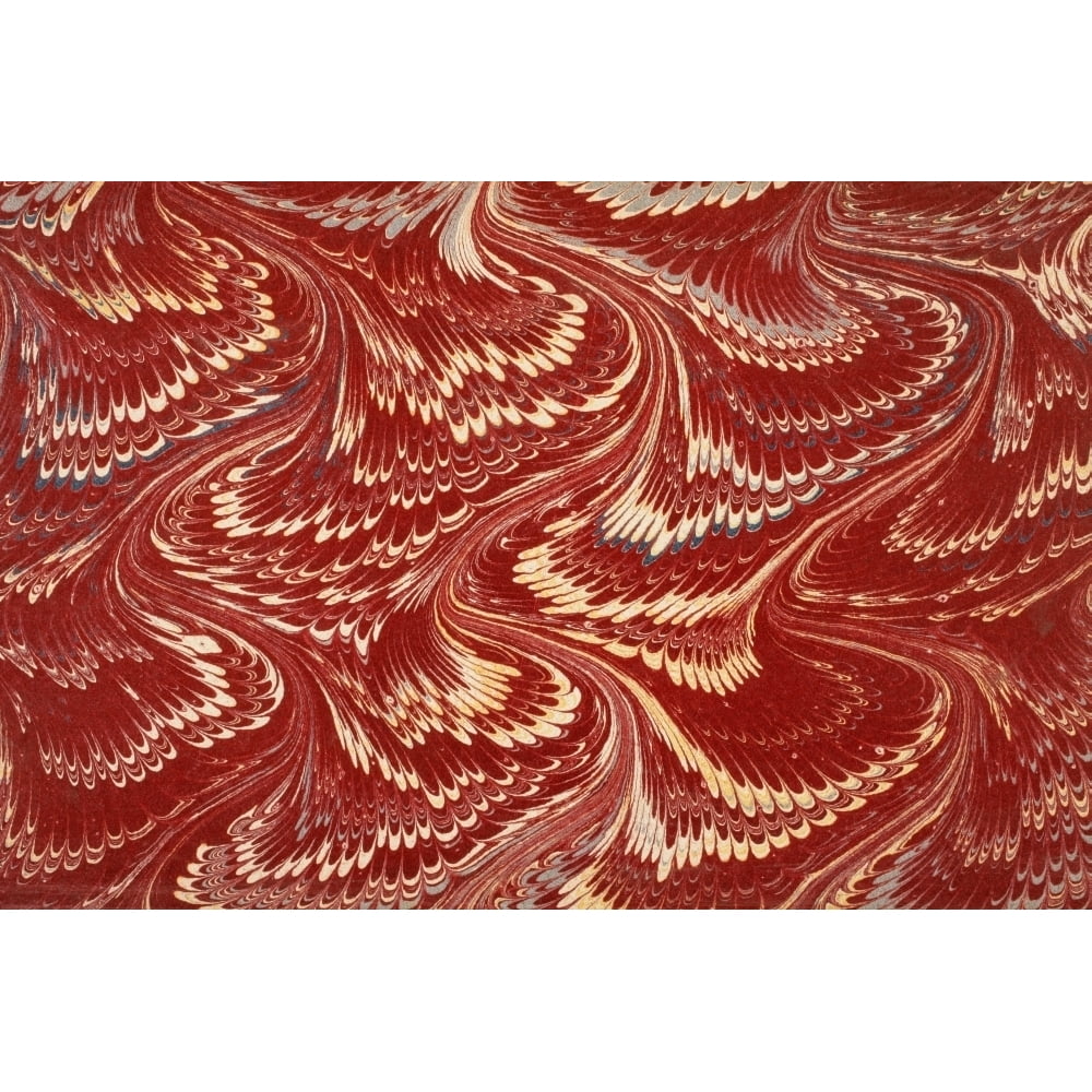 Decorative Endpaper From A Nineteenth Century Book. Poster Print ...