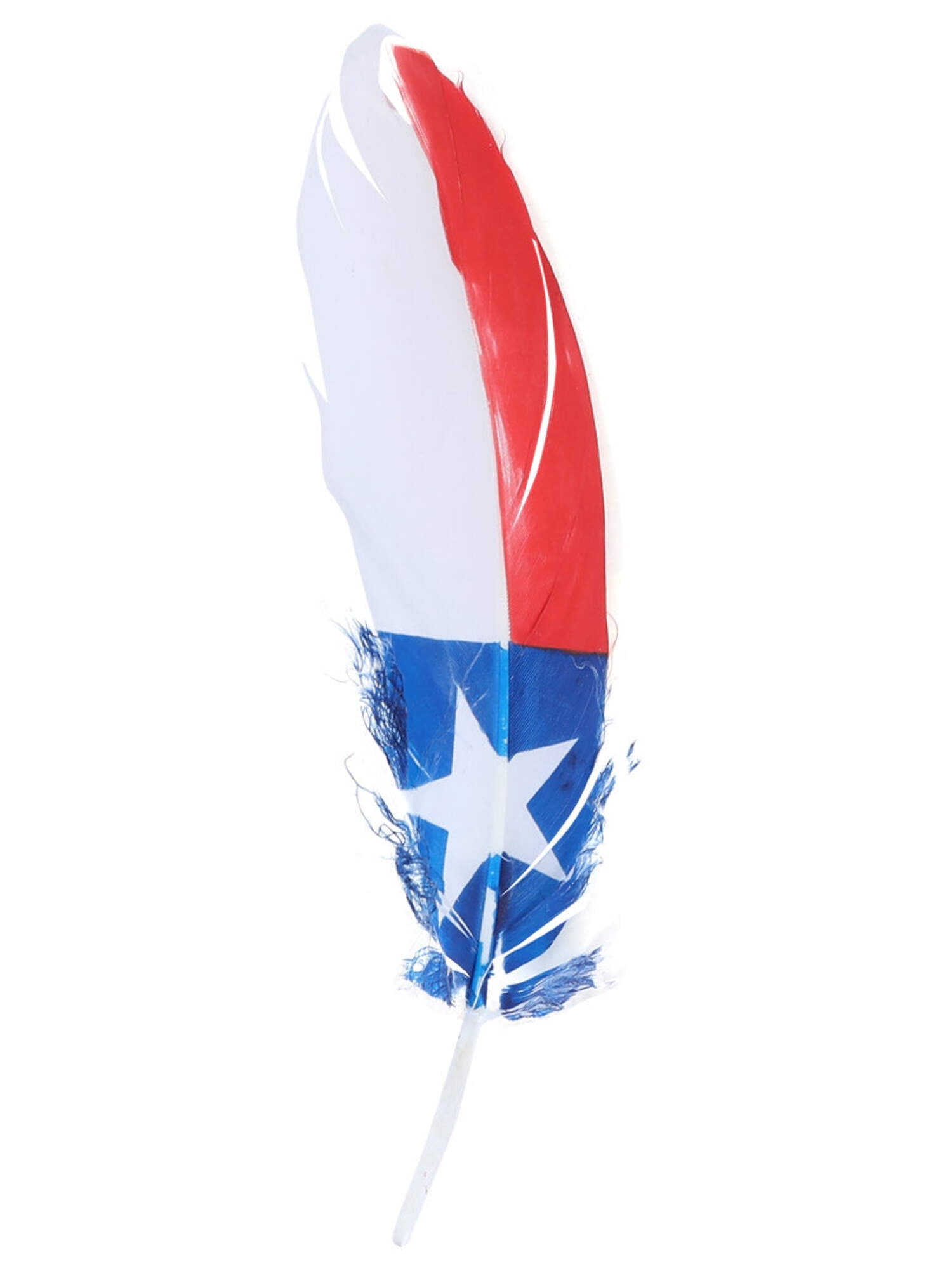 Decorative Feather 42039 - Walmart.com