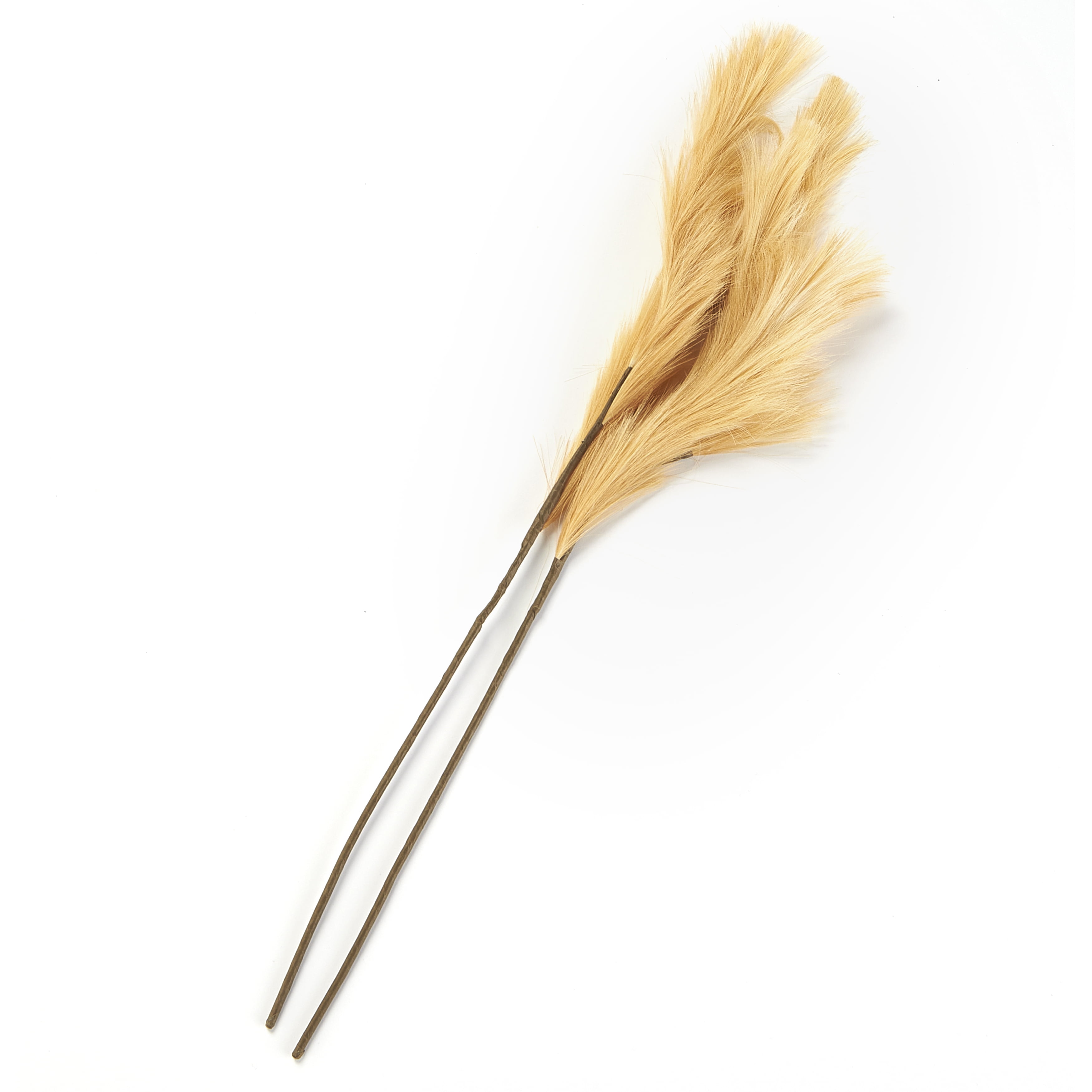 Decorative Floral Fluff Picks for Vase and Planters - Brown - Set of 2 ...