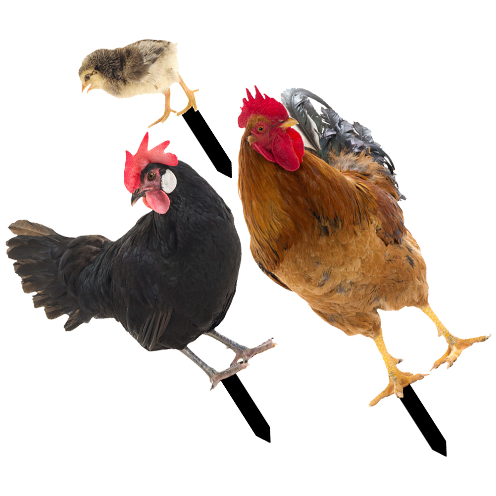 Decorative Garden Inserts Chicken Stake The Sign Ground Plug Outdoor ...