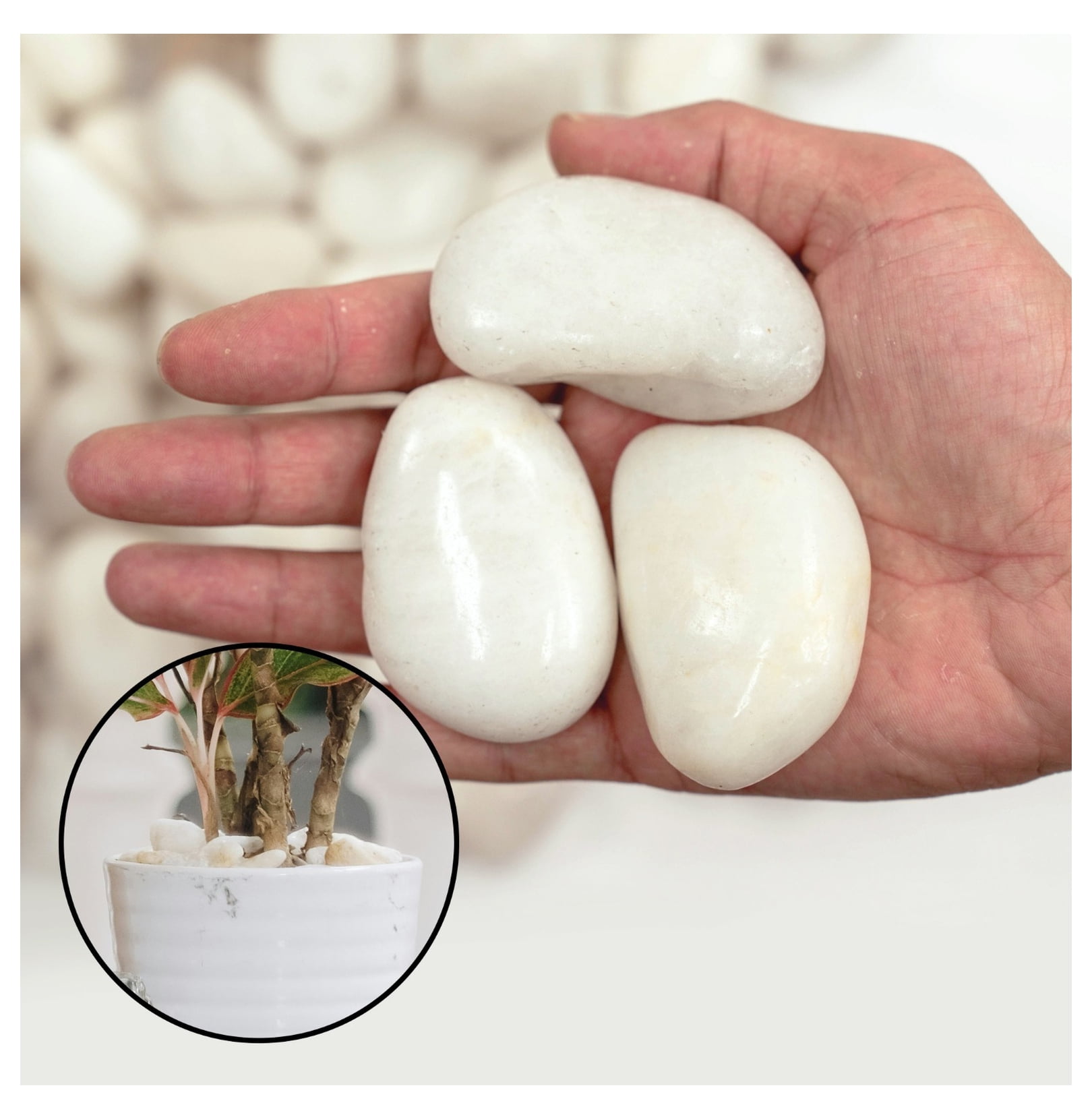 Decorative Garden Stones - 38lbs Polished River Rocks 1-3 inch ...