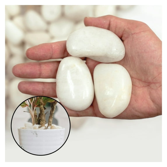 Decorative Garden Stones - 38lbs Polished River Rocks 1-3 inch ...