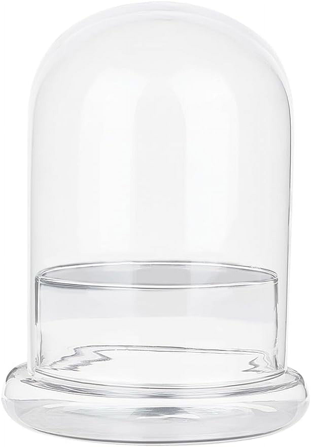Decorative Glass Dome Cover 5.91×7.87 Inch Small Display Dome Cloche ...