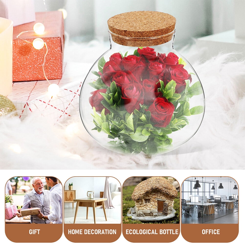 Decorative Glass Landscape Bottle Cork Sealed Spherical Terrarium ...