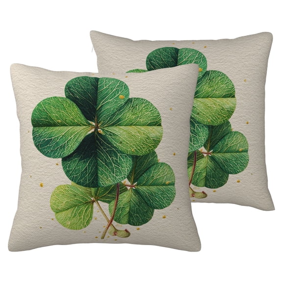 Decorative Holiday Throw Pillow Covers 2 Pack, St. Patrick's Day Theme ...
