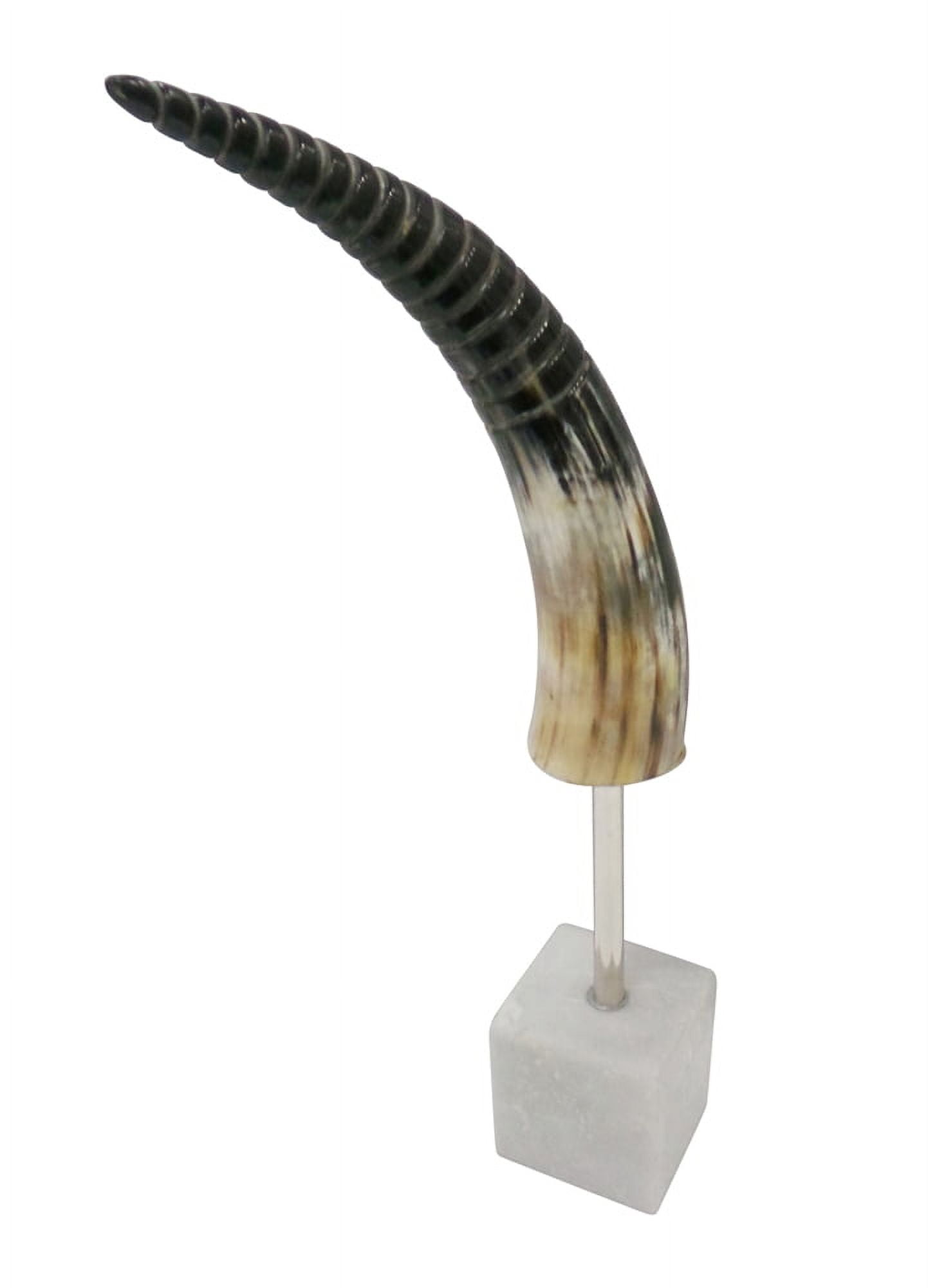 Decorative Horn On Stand, Multicolor - Walmart.com