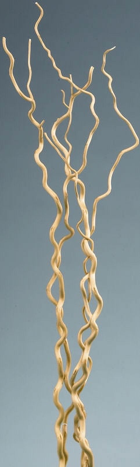 Decorative Kuwa Branches - Natural, Chocolate, Basil 5 branches per ...