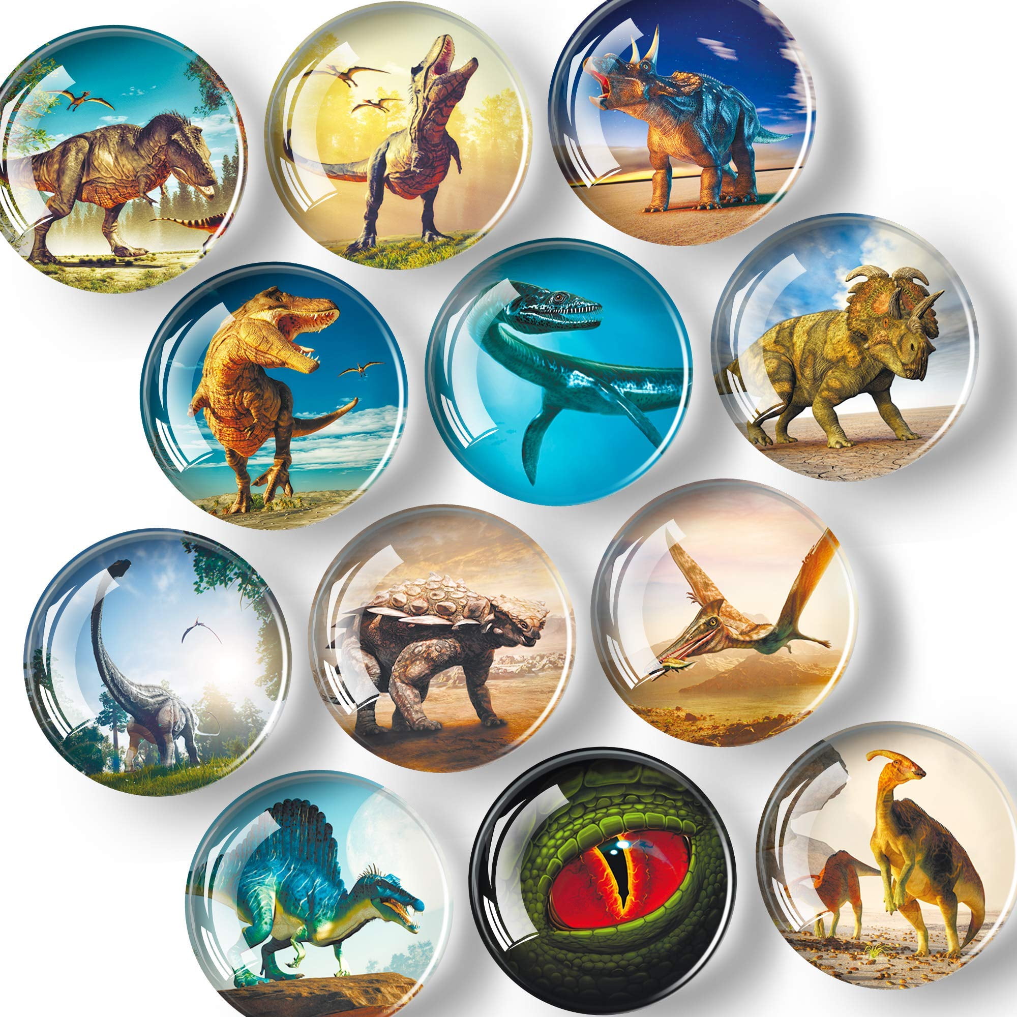 Decorative Magnets for Fridge â€“ Glass Magnets for Refrigerator â ...