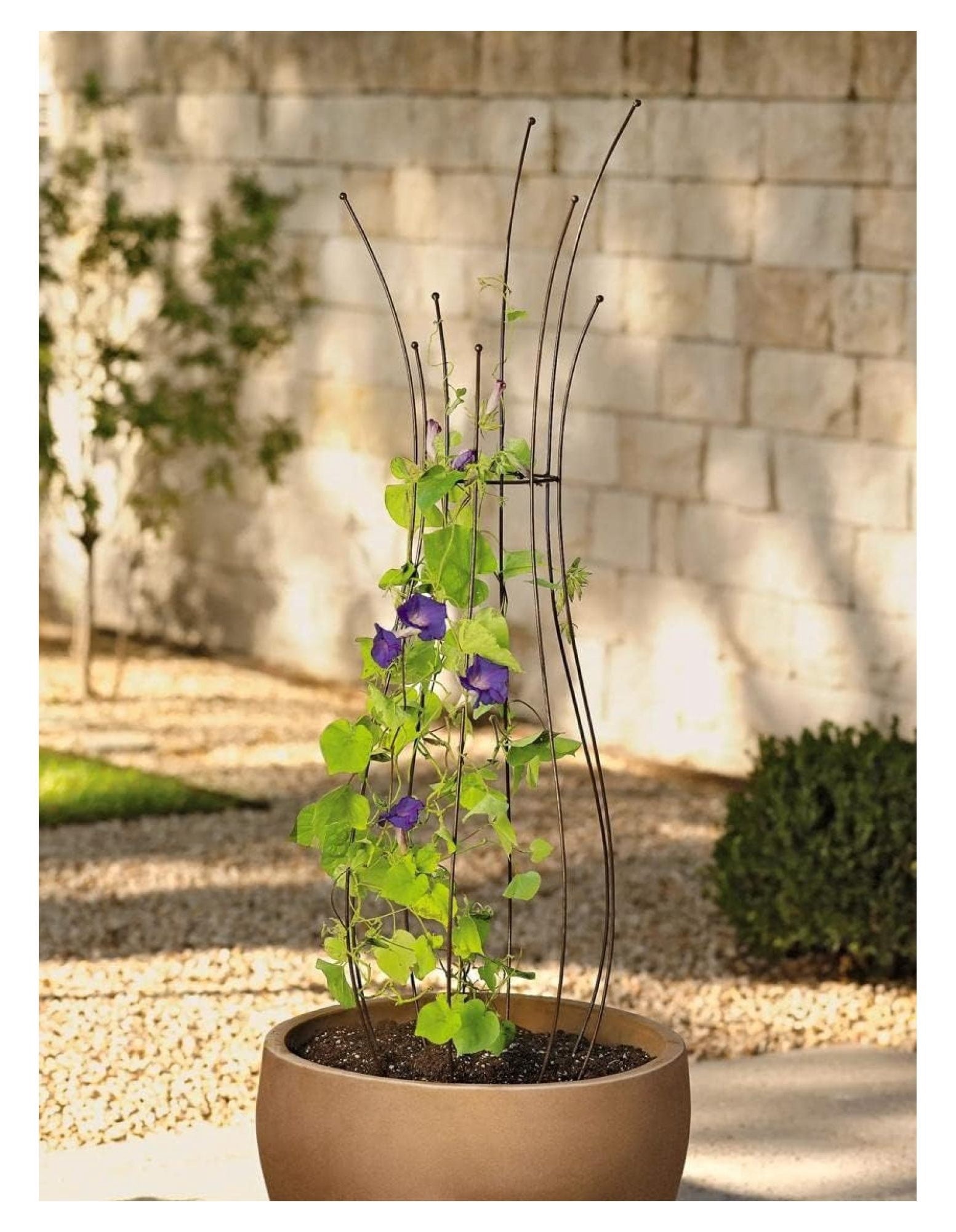 Decorative Metal Pot Trellis | Powder-Coated Steel Stands 50 Inches ...