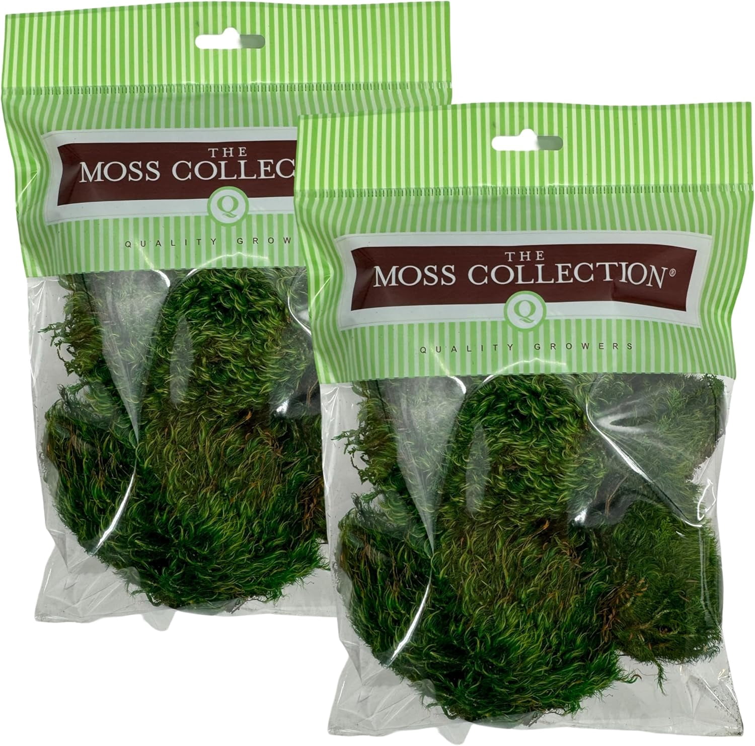 Decorative Moss - Dried Moss for Crafts, Home Decor, Art, Design & DIY ...