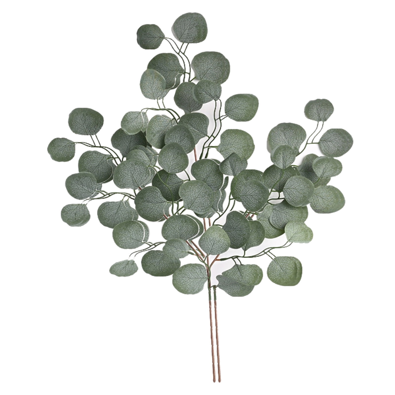 Decorative Objects Natural Dried Plant Inflorescence Color Absorpt Non ...