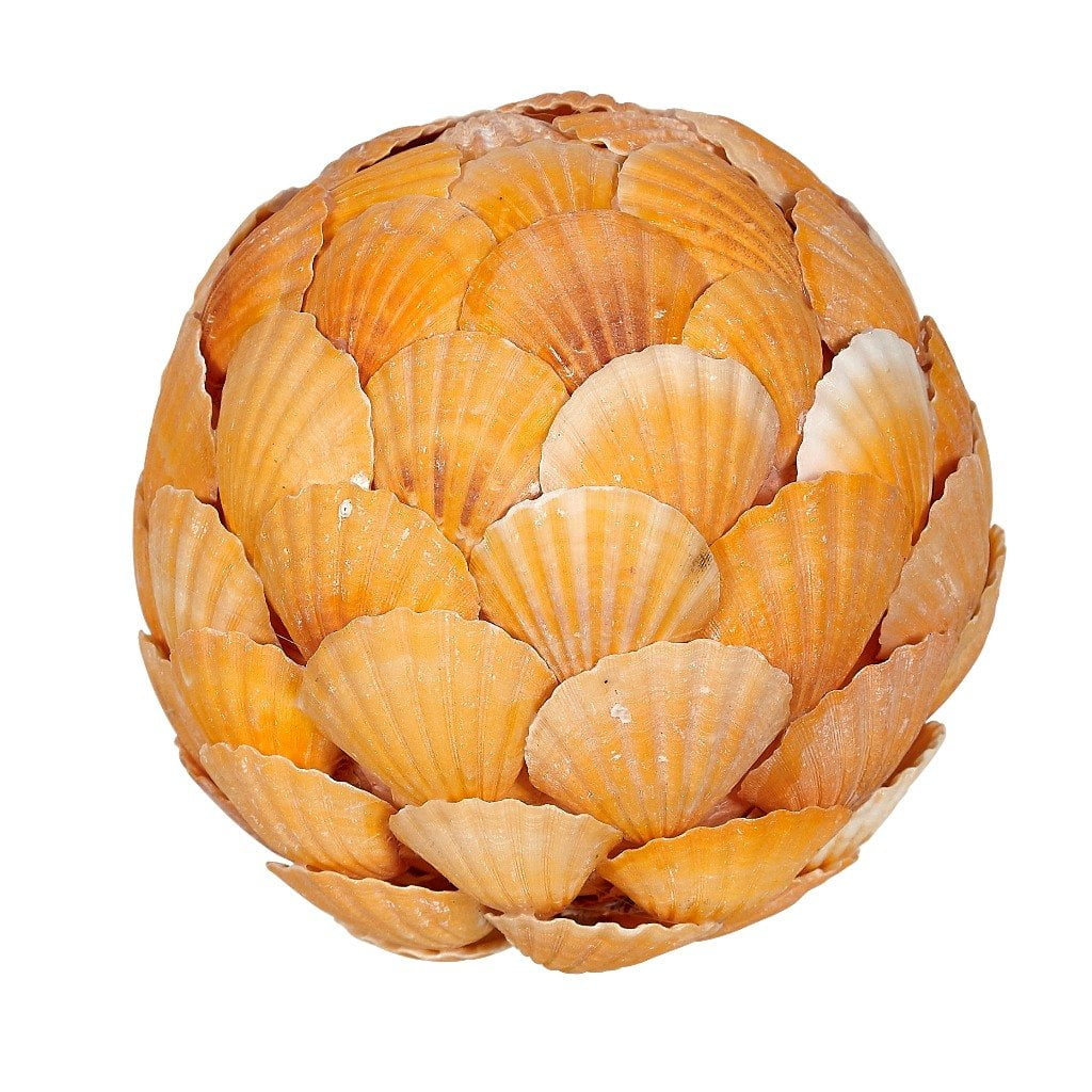Decorative Orb Ball 6", Orange Scallop Flat Shells Sphere Table Top ...