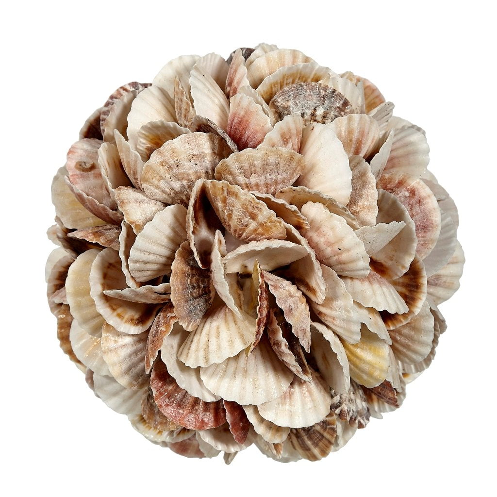 Decorative Orb Ball 8", Mixed Pecten Shells Sphere Table Top ...