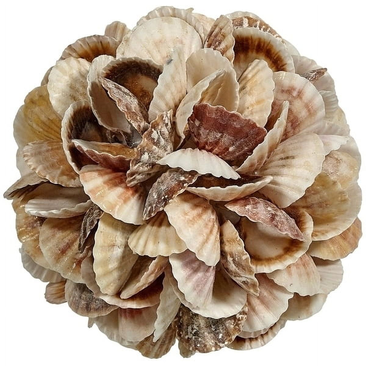 Decorative Orb Ball Mixed Pecten Shells Sphere Table Top Centerpiece 6 ...