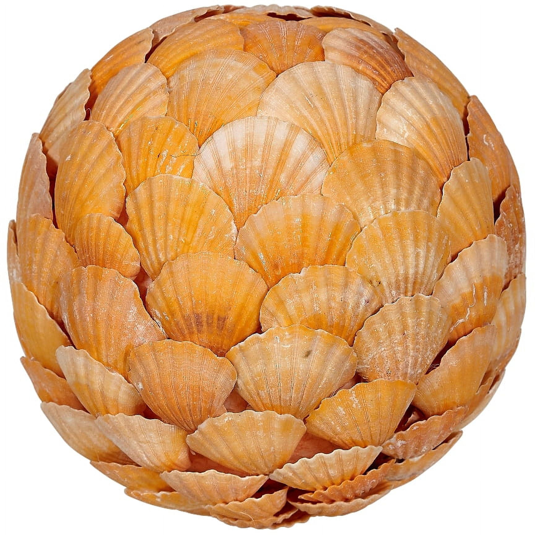 Decorative Orb Ball Orange Scallop Flat Shells Sphere Table Top ...
