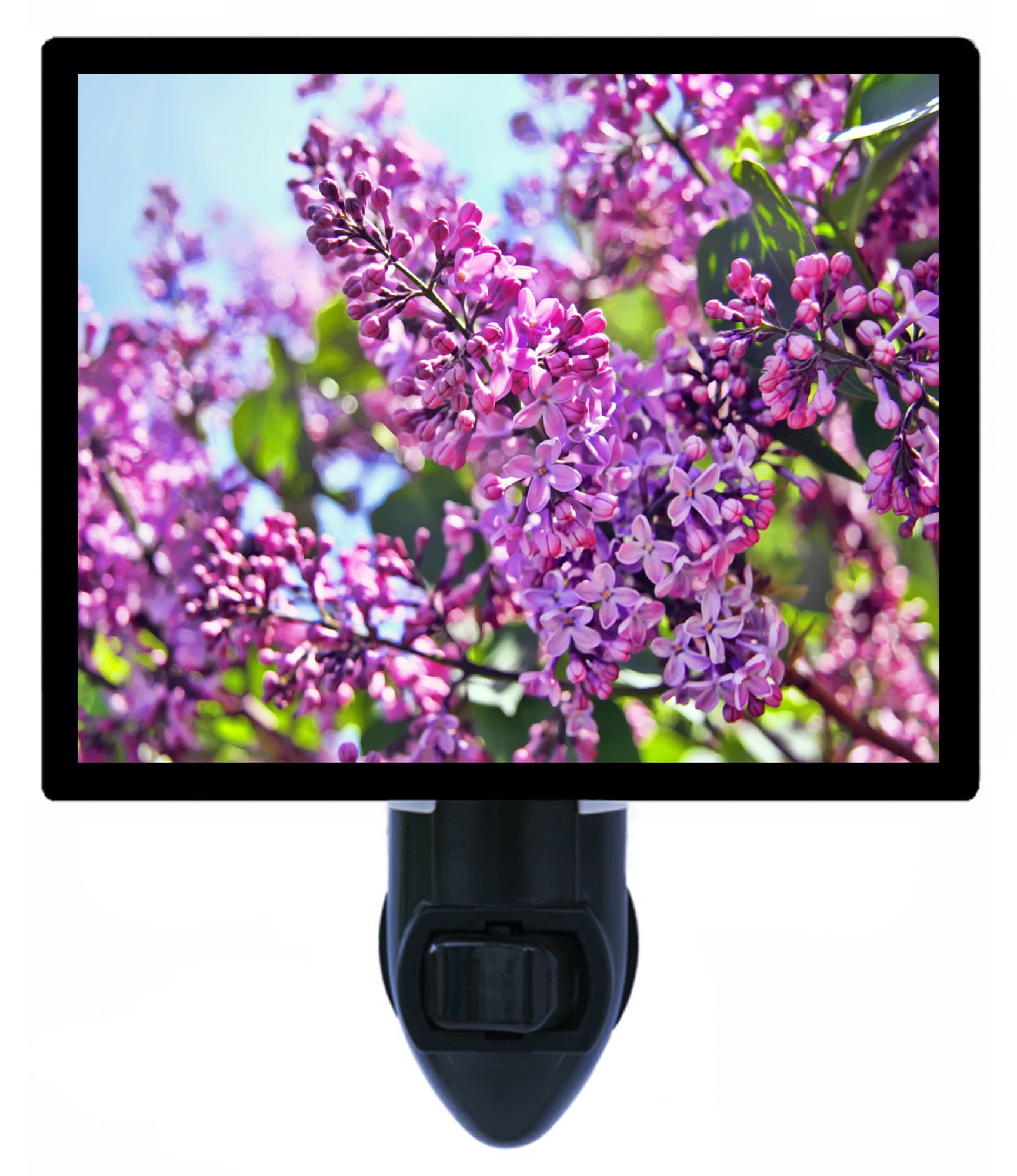 Night Light Plus Extra Free Switchable Insert. 4 Watt Bulb, E12 Base ...